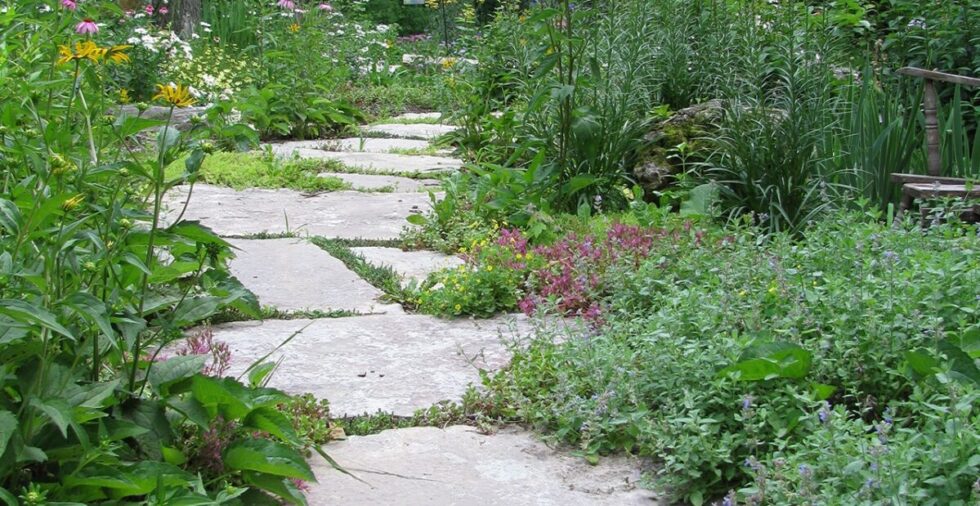 Chilton Flagstone - Buechel Stone